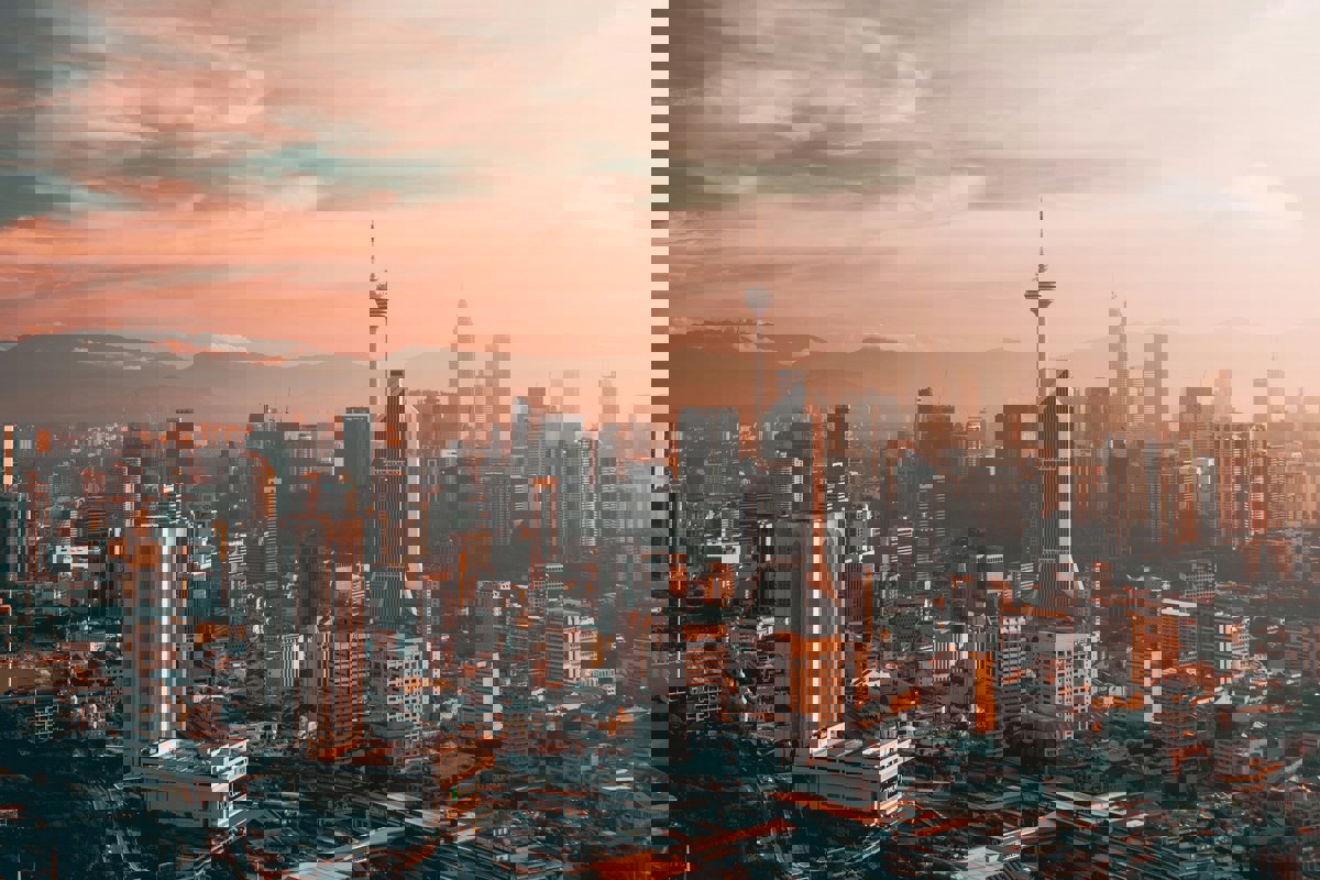 Meet the Expert: Diving